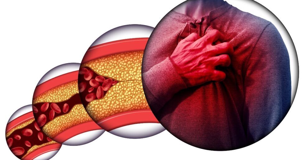 Understanding Rapid Heartbeat: Causes, Symptoms, and When to Seek Help ...