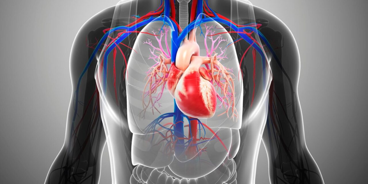 Cardiac Conditions Treated by Board-Certified Cardiologists | Advanced ...